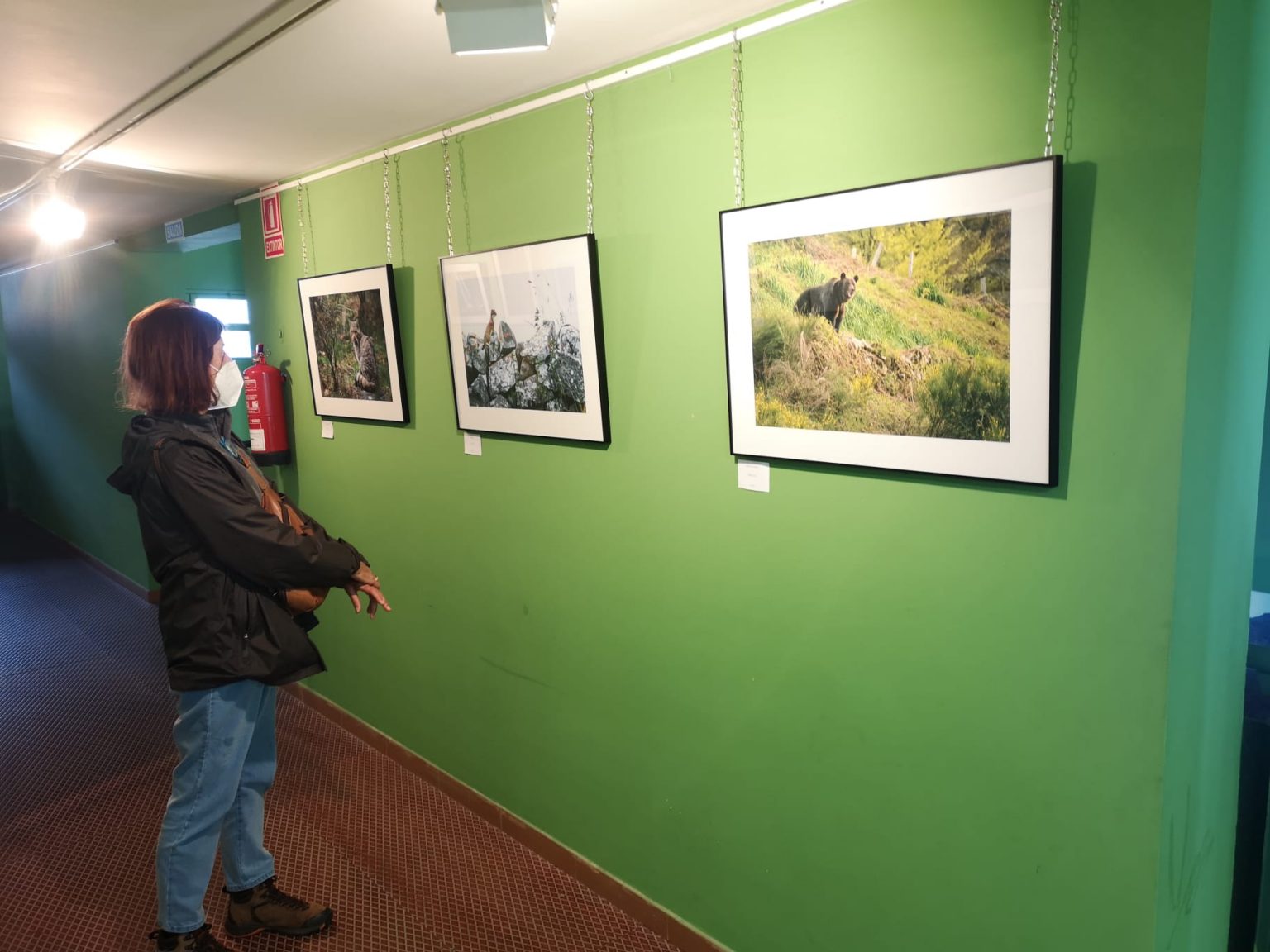 La mirada de Jorge Jáuregui, en el parque natural de Somiedo – La Voz ...