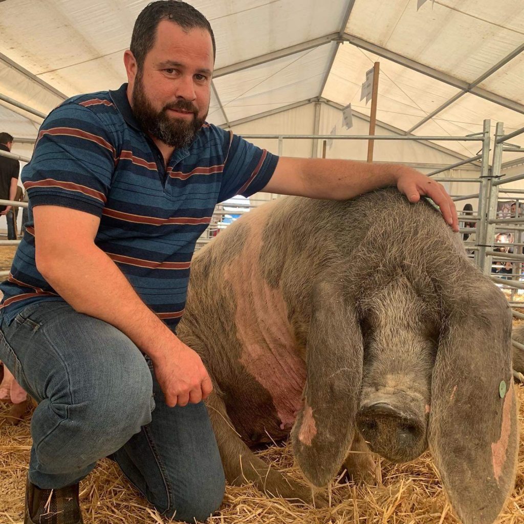 ‘Yerbata’, criada en libertad en Premoñu, la mejor gocha asturcelta ...
